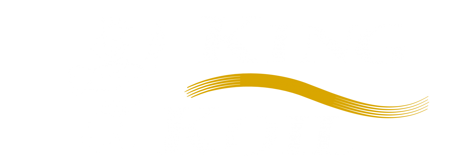 KingKoil – Galax Luna | Galax Stella